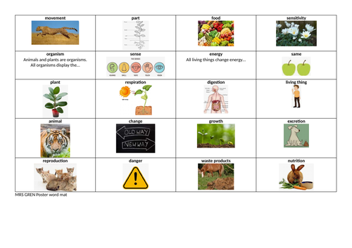 Science MRS GREN Differentiated Resources Year 4 | Teaching Resources
