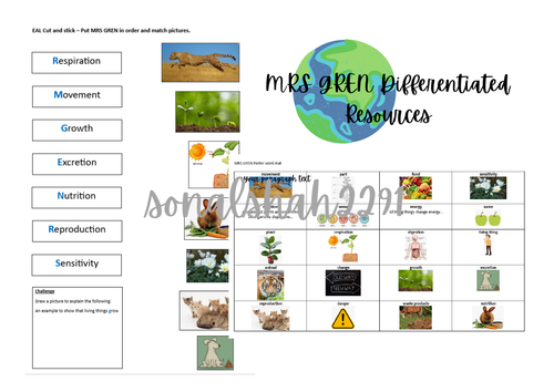 Science MRS GREN Differentiated Resources Year 4 | Teaching Resources
