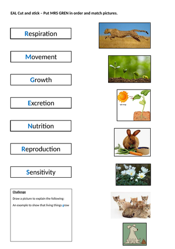 Science MRS GREN Differentiated Resources Year 4 | Teaching Resources