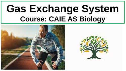 AS Biology - Gas Exchange and Lung Structure | Teaching Resources