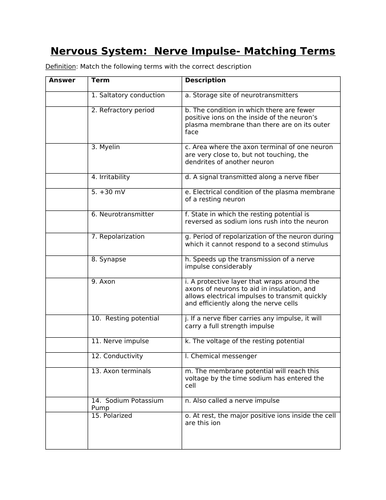 Nervous System: Nerve Impulse Matching Terms (Physiology, AP Biology ...