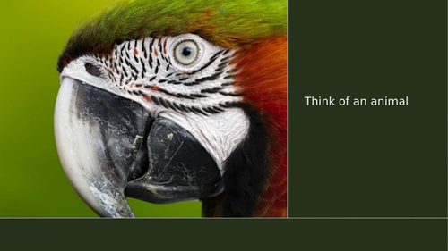 Think of an animal | Teaching Resources