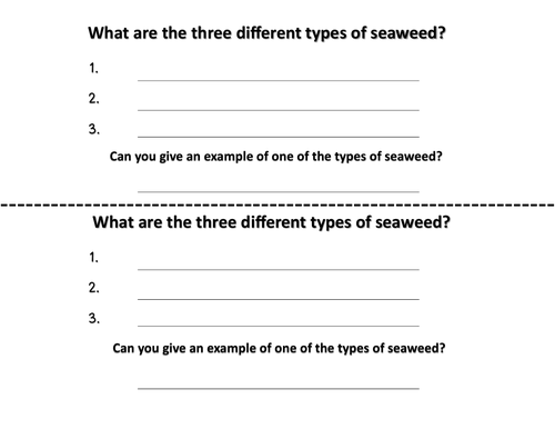 8 Ocean Lessons for Kids (Complete set for ages 5+): Marine Biology ...