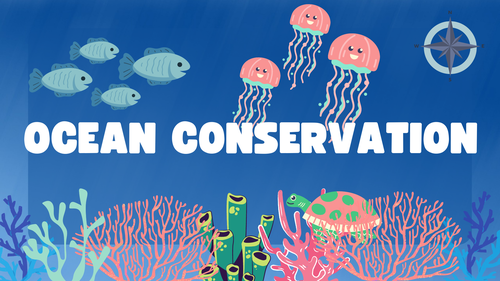 8 Ocean Lessons for Kids (Complete set for ages 5+): Marine Biology ...