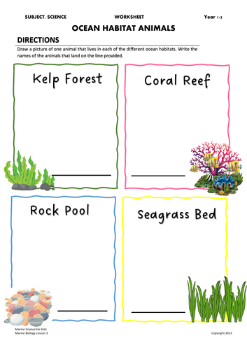 8 Ocean Lessons for Kids (Complete set for ages 5+): Marine Biology ...