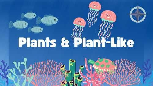 8 Ocean Lessons for Kids (Complete set for ages 5+): Marine Biology ...