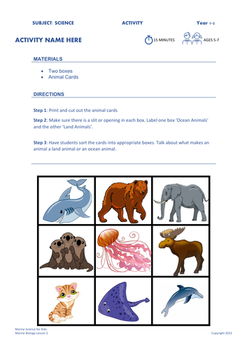 8 Ocean Lessons for Kids (Complete set for ages 5+): Marine Biology ...