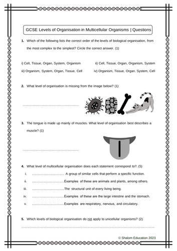 GCSE Biology - Levels of Organisation in Multicellular Organisms Practice Questions | Teaching ...