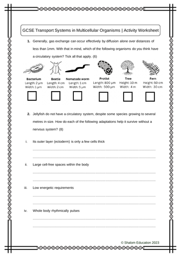 GCSE Biology - Transport Systems in Multicellular Organisms Activity Worksheet | Teaching Resources