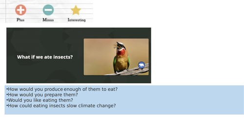 Year 4 Science living things unit | Teaching Resources