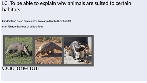 Year 4 Science living things unit | Teaching Resources