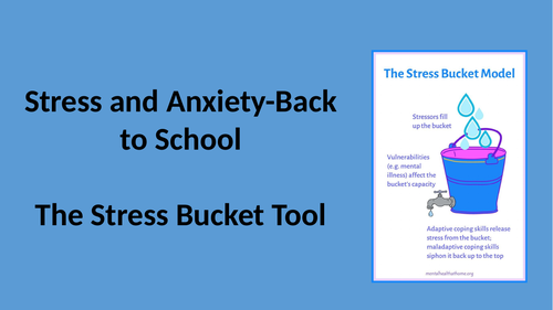 Stress Bucket Staff CPD PPT | Teaching Resources