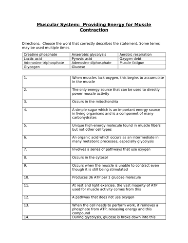 Muscular System: Energy Sources for Muscle Contraction Worksheet ...