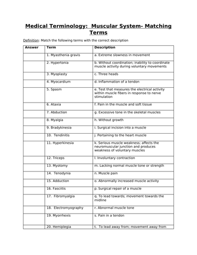 Medical Terminology: Muscular System- Matching Terms (Health Sciences ...
