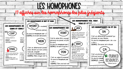 Affiches des homophones fréquents French homophone posters | Teaching ...