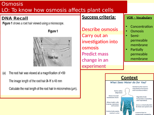 Osmosis including required practical Edexcel GCSE Combined Science ...