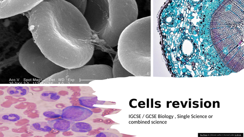 IGCSE / GCSE Biology cells revision | Teaching Resources