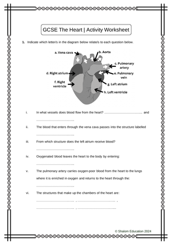 GCSE Biology - The Heart Activity Worksheet | Teaching Resources