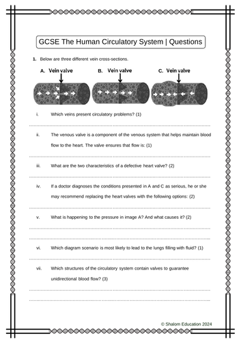 GCSE Biology - The Human Circulatory System Practice Questions ...