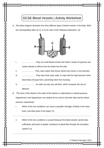 GCSE Biology - Blood Vessels Activity Worksheet | Teaching Resources