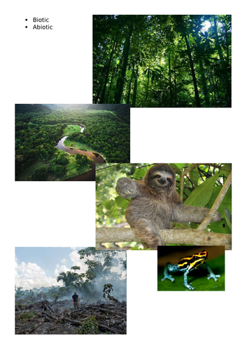 KS3 Geography - Why are the rainforests so important? L1. What is an ecosystem? | Teaching Resources