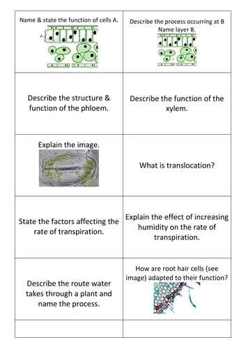 Plant organ systems & transpiration Q&A cards GCSE | Teaching Resources