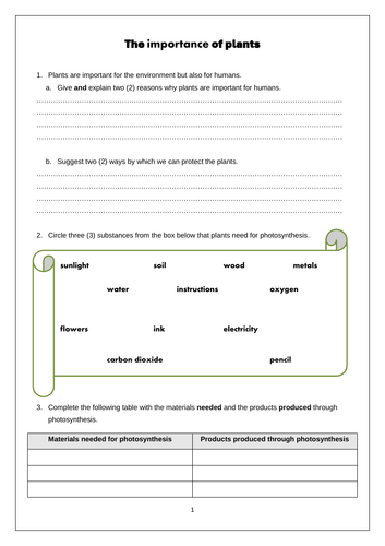 The importance of plants KS3 assessment and solutions | Teaching Resources