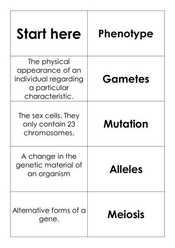 Loop Game - Inheritance | Teaching Resources