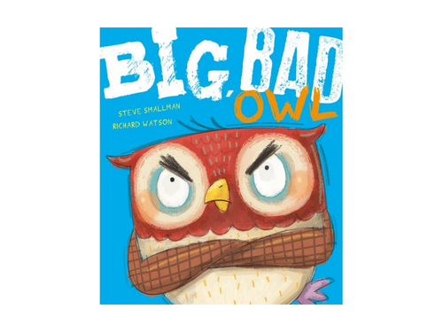 Owls 4 week unit: 2 weeks BIG BAD OWL, 2 weeks non-chronological ...