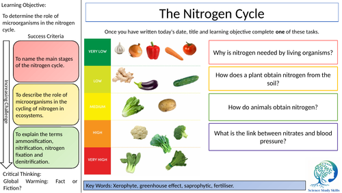 The Nitrogen Cycle - Oxford AQA/Pearson Edexcel A Level Biology ...