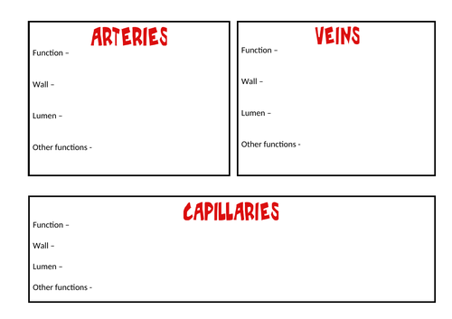 Blood Vessels and Blood Distribution Lesson | Teaching Resources