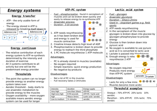 PE A level paper 1 AQA posters | Teaching Resources