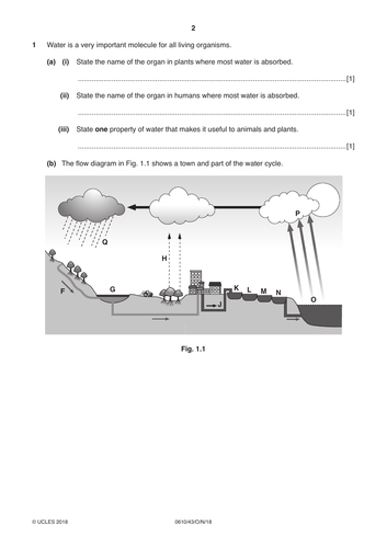 Organisms and Their Environment - Past Paper Question Pack | Teaching ...