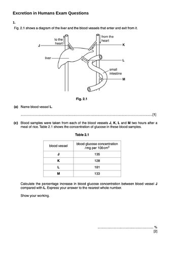 Excretion in Humans - Liver, kidneys and urea formation | Teaching ...