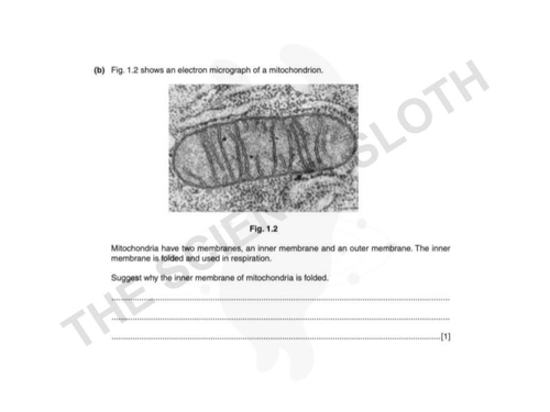 Cell Structure - Plant, Animal, Bacterial and Specialised Cells ...