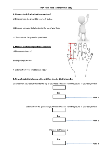 The golden ratio and the human body | Teaching Resources