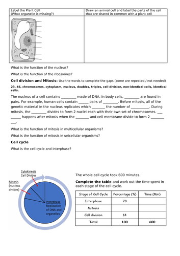 Meiosis and Reproduction | Teaching Resources