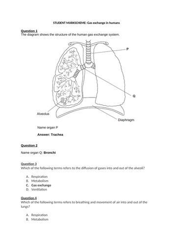 AQA topic tests: Gas exchange in humans, insects and fish and surface ...