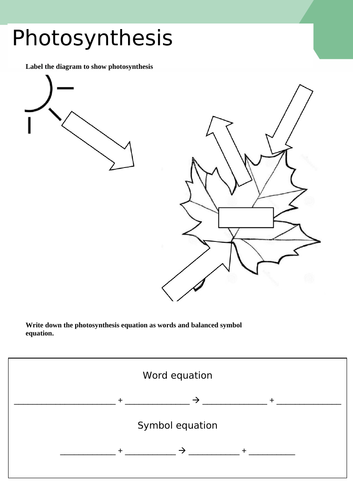 Photosynthesis worksheet | Teaching Resources