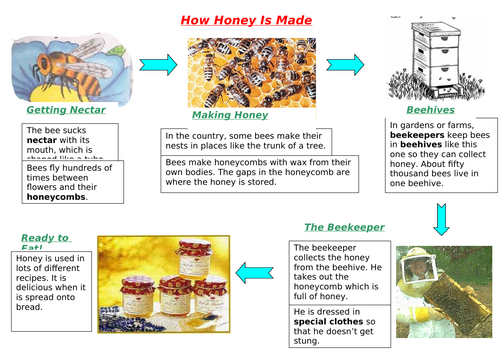Varmints - a complete resource for Y4/5 - includes screen shots of the ...