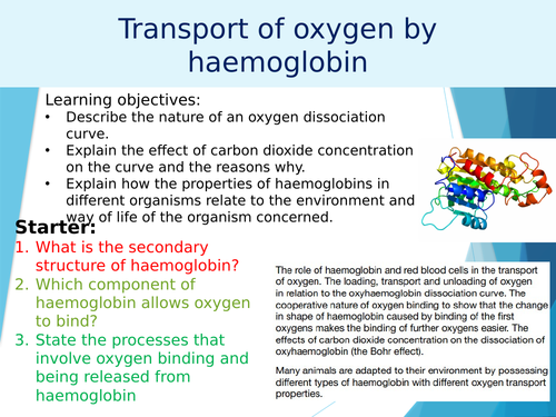 AQA AS Level Biology 7.2 Transport of Oxygen by Haemoglobin | Teaching ...