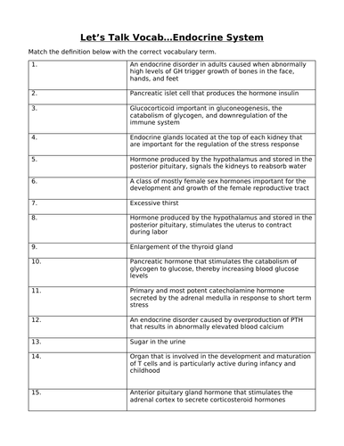 Let's Talk Vocab...Endocrine System Worksheet (Anatomy, Biology ...