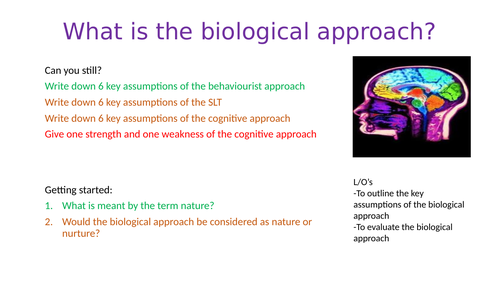 The Biological Approach - Approaches - Psychology - A-Level A/A2 ...