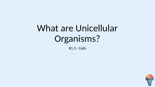 KS3 - Unicellular Organisms | Teaching Resources
