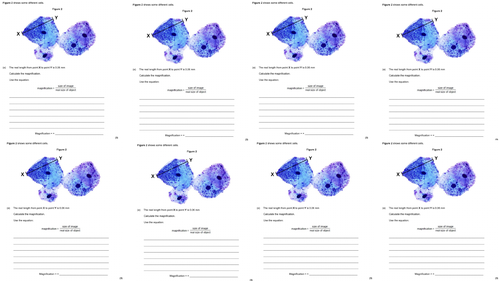 2.1.1 Cell Structure Whole Unit | Teaching Resources
