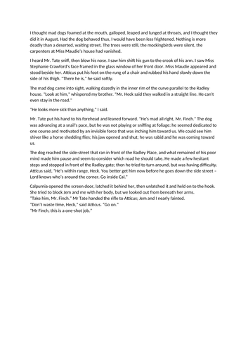 Curious Incident of the Dog in the Night Time- KS3 Reading & Letter ...