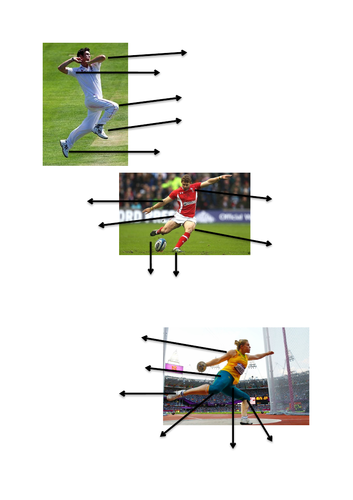 Unit 1 BTEC National Sport | Teaching Resources