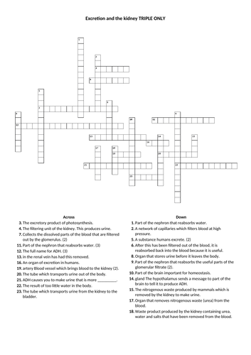 GCSE Crossword bundle: 46 crosswords, all topics including keyword ...