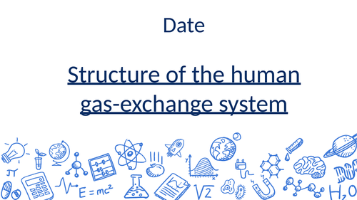 6.6 - Structure of the human gas-exchange system - AQA A-Level Biology ...