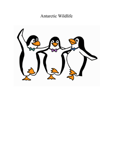 Antarctic Wildlife for Early Childhood | Teaching Resources